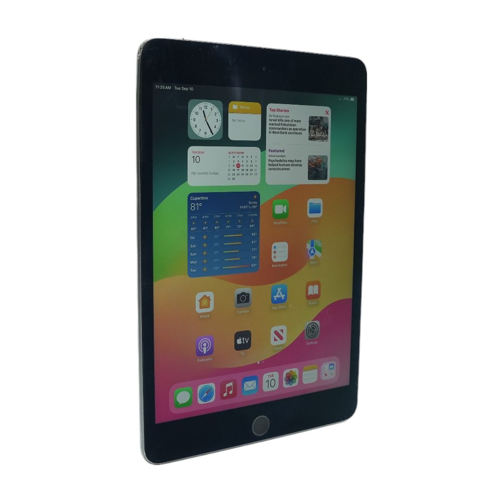 iPad mini 7.9" Space Gray 5th Generation 256GB Carrier Unlocked ...